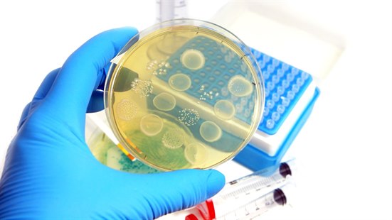 Et nytt "smart" antibiotikum mot Gram-negative bakterier? - NHI.no