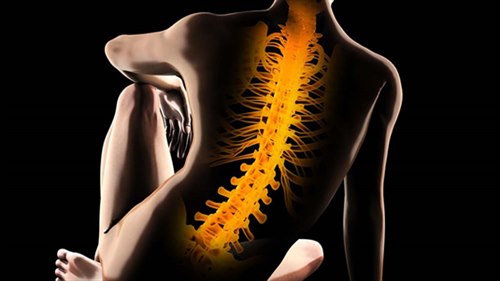 Ryggmargsskade - NHI.no