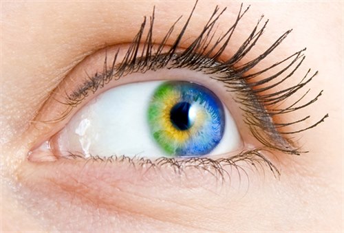 Holoclar – første stamcelleterapi godkjent i Europa - NHI.no