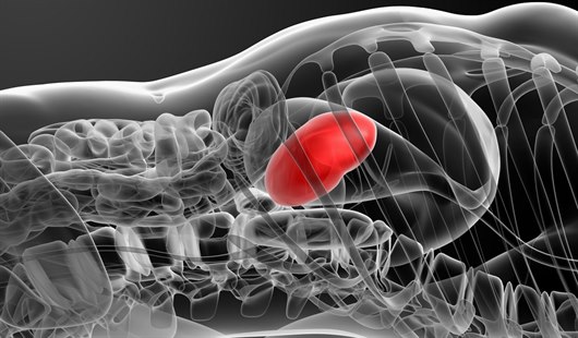 Scintigrafi av milt - NHI.no